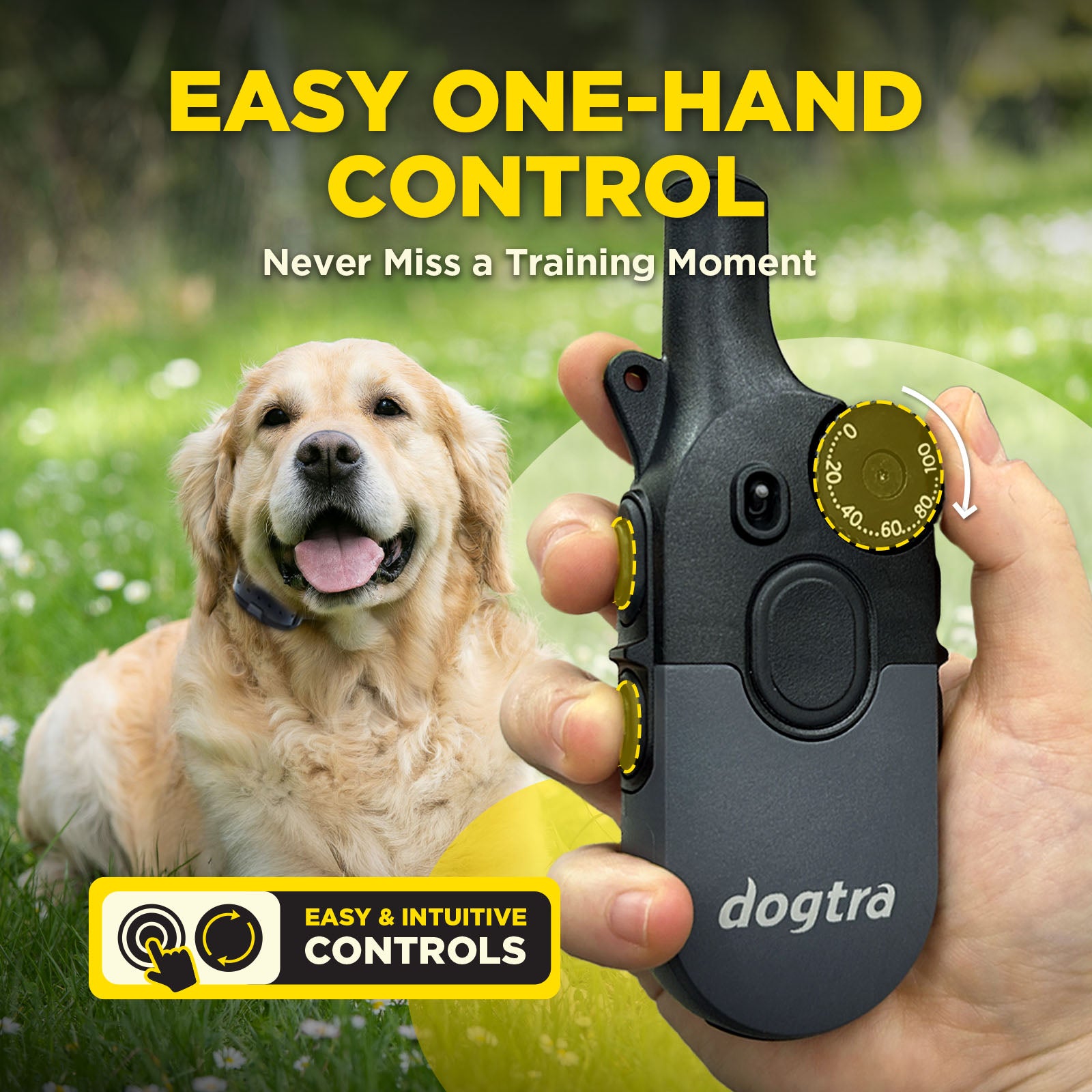 200iQ 2-DOG UNIT – Dogtra.com