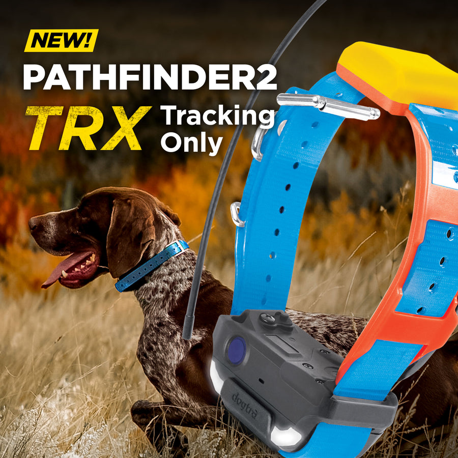 PATHFINDER2 MINI – Dogtra.com