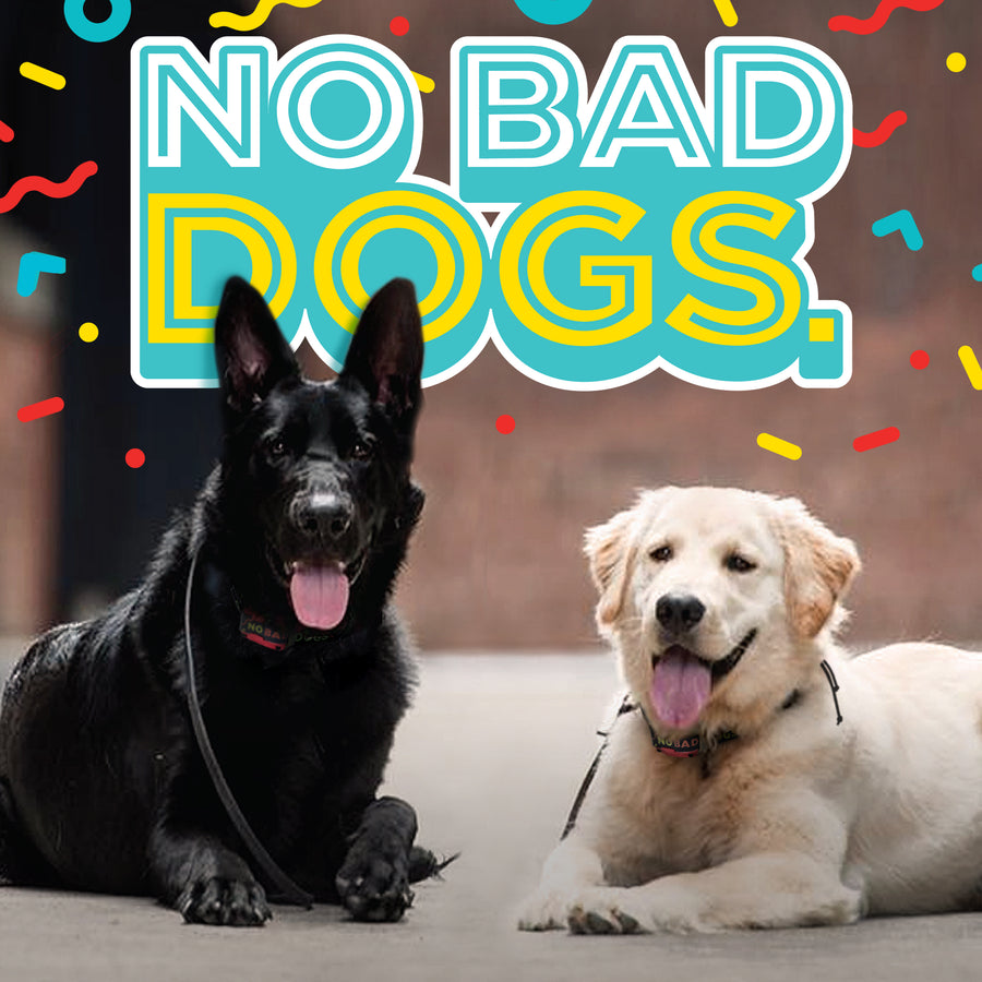 TOM DAVIS EDITION 280CR – Dogtra.com