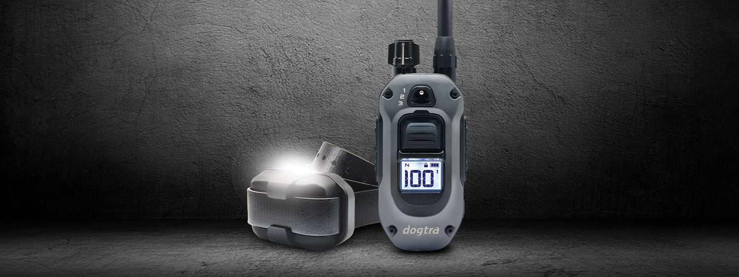 Collar Straps – Dogtra.com