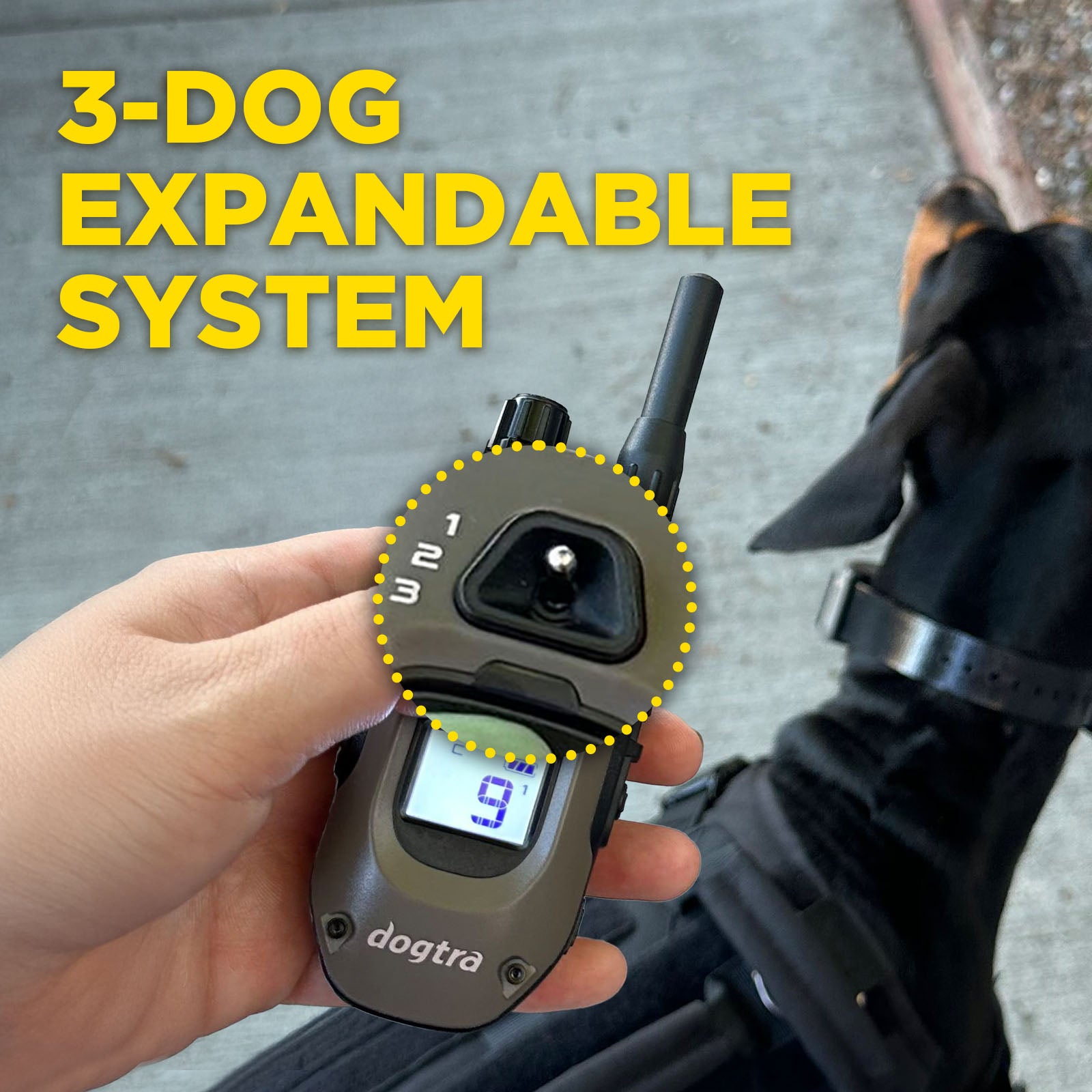 1900X 1-DOG UNIT – Dogtra.com