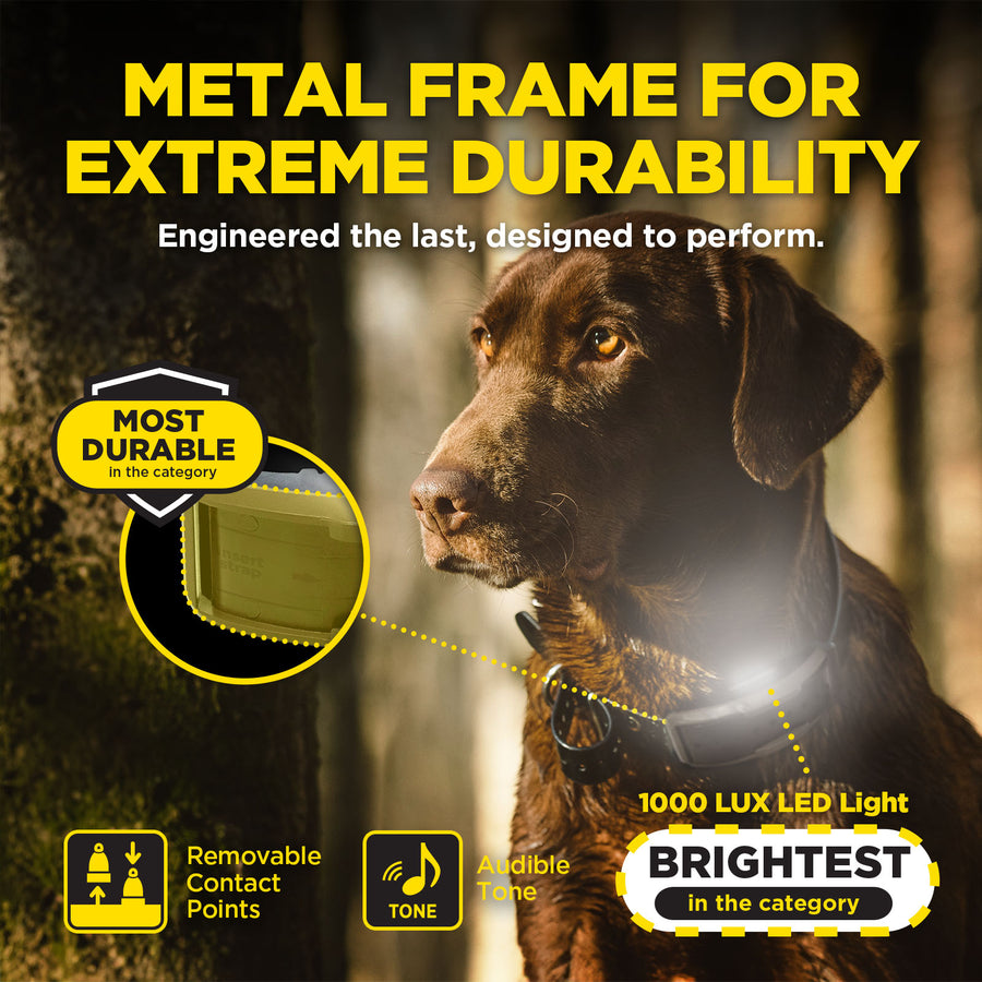 1900X 1-DOG UNIT – Dogtra.com