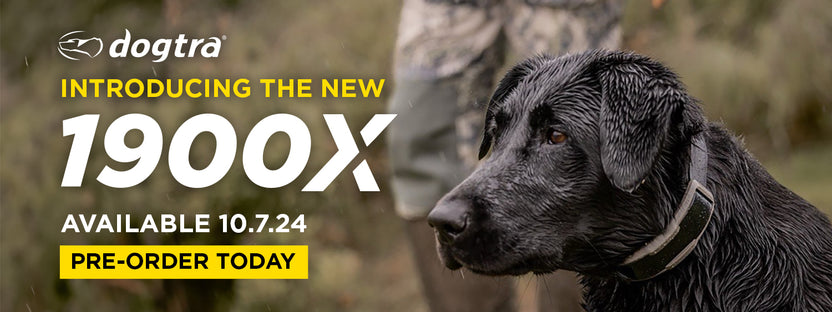 Dogtra – Dogtra.com