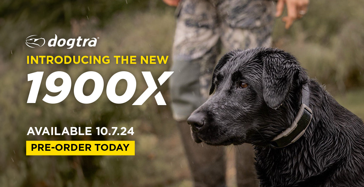 Dogtra – Dogtra.com