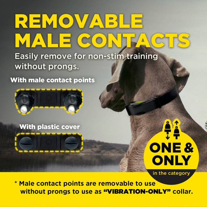 ARC-X 1-DOG UNIT – Dogtra.com