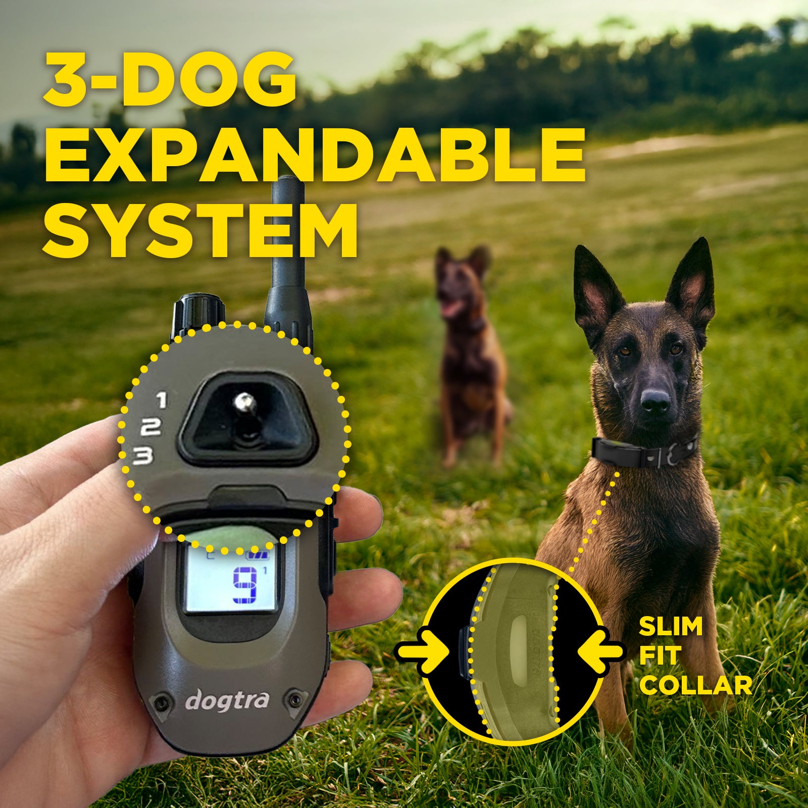 ARC-X 1-DOG UNIT – Dogtra.com