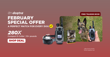 Dogtra – Dogtra.com