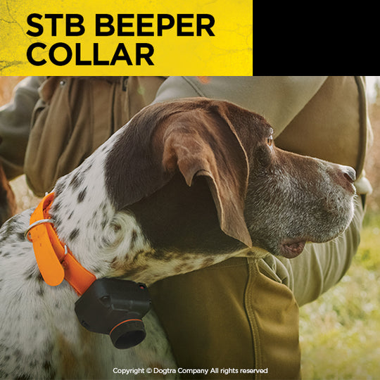 STB BEEPER COLLAR – Dogtra.com