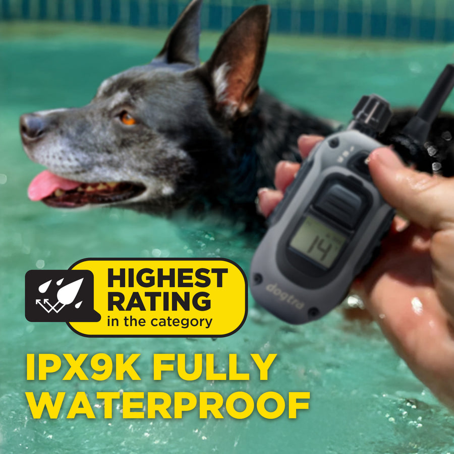 280X 1-DOG UNIT – Dogtra.com