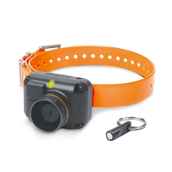 STB HAWK COLLAR – Dogtra.com