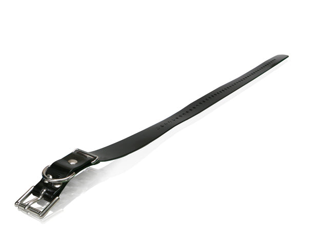 Dogtra 1700NCP Series