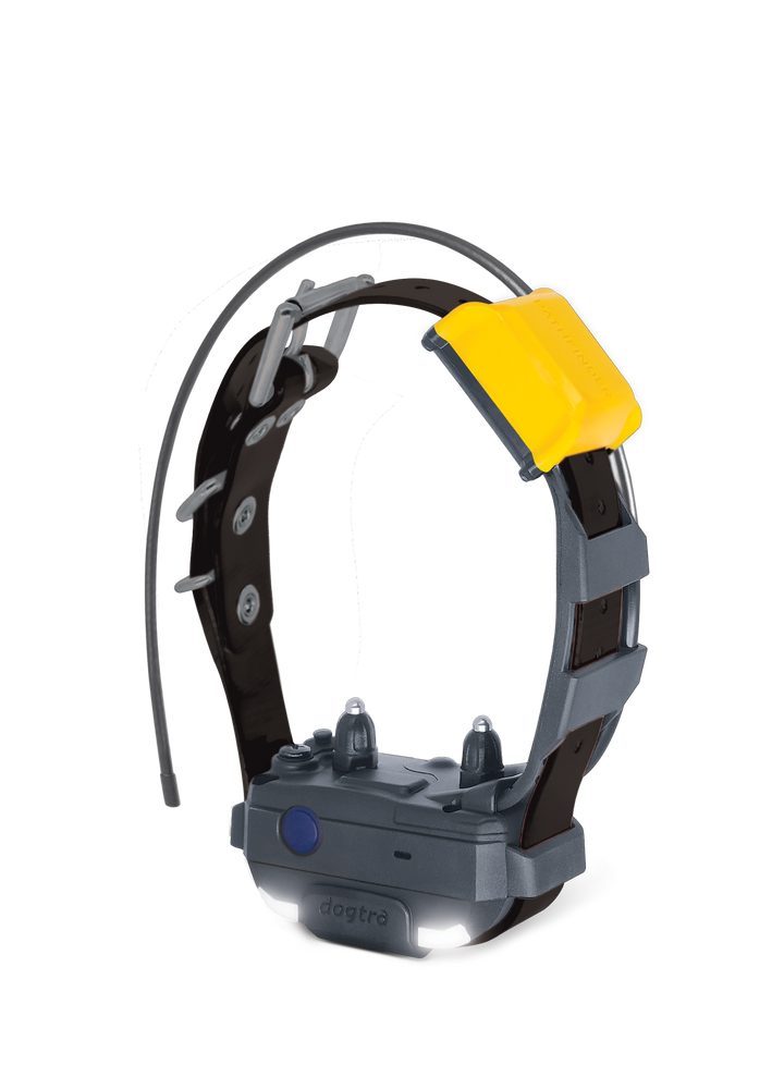 GPS Dog Collars for Tracking & Training – Dogtra.com