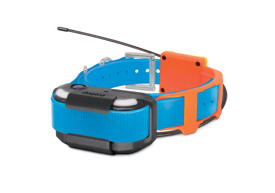 GPS Dog Collars for Tracking & Training – Dogtra.com