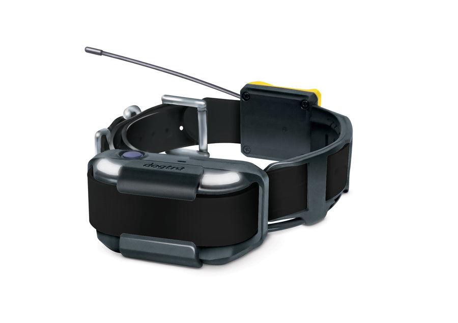 GPS Dog Collars for Tracking & Training – Dogtra.com